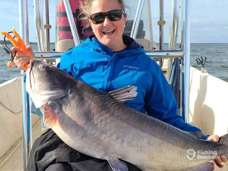 Virginia Record Fish: The Complete Guide for 2024