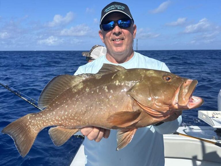 Grouper Season in Florida: The Complete Guide for 2026