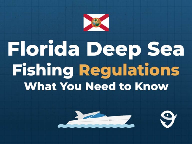 How to Go Deep Sea Fishing in Florida: The Complete Guide for 2026
