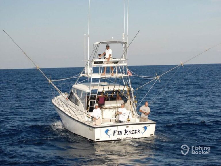 How to Go Offshore Fishing: A Beginner’s Guide