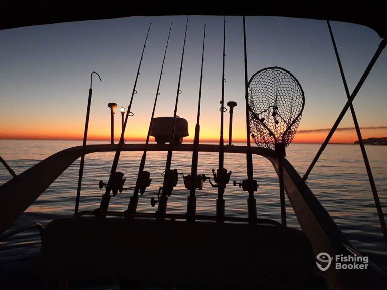 Deep Sea Fishing Rods: A Beginner’s Guide for 2026