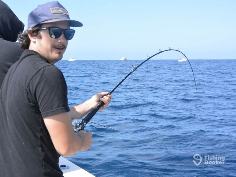 Deep Sea Fishing Rods: A Beginner’s Guide for 2026