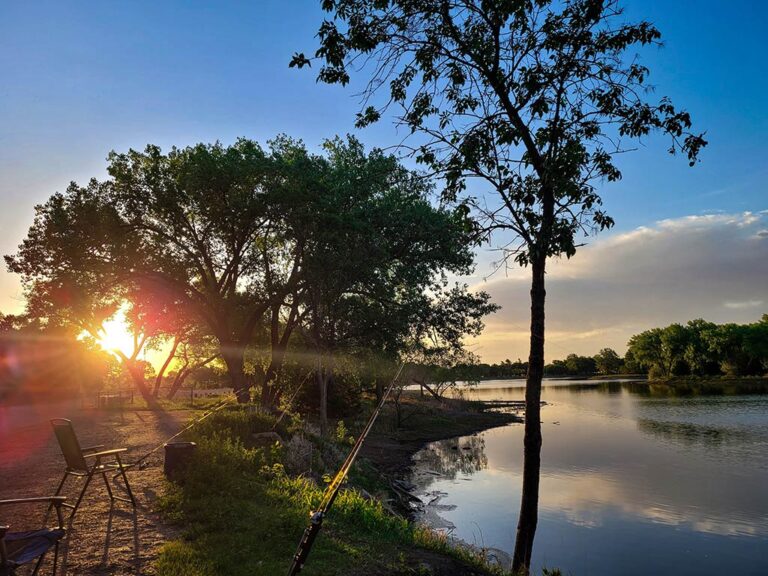 Pond Fishing: The Complete Guide for 2024