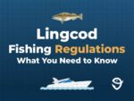 How to Fish for Lingcod: The Complete Guide for 2024