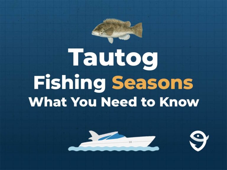 How to Go Tautog Fishing: The Complete Guide for 2024