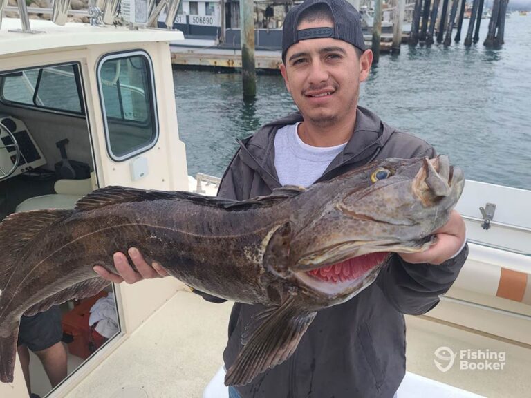 How to Go Deep Sea Fishing in Morro Bay: The Complete Guide for 2026
