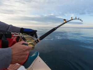Deep Sea Fishing Rods: A Beginner’s Guide for 2024