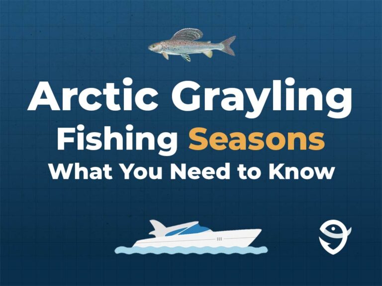 How to Go Grayling Fishing: The Complete Guide for 2025