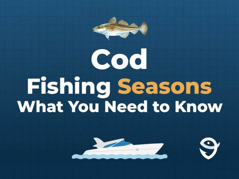How to Go Cod Fishing: The Complete Guide for 2025