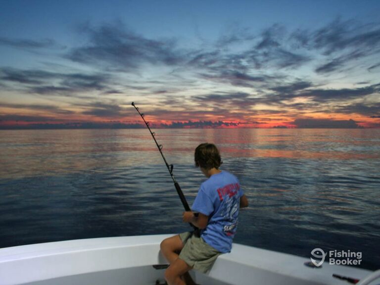 How to Fish for Bonito: The Complete Guide for 2024