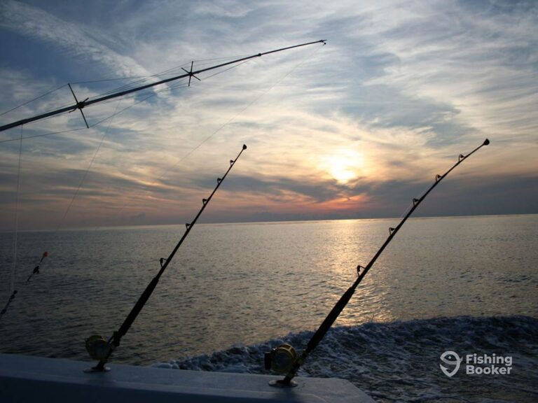 How to Go Fishing for Spanish Mackerel: The Complete Guide for 2026