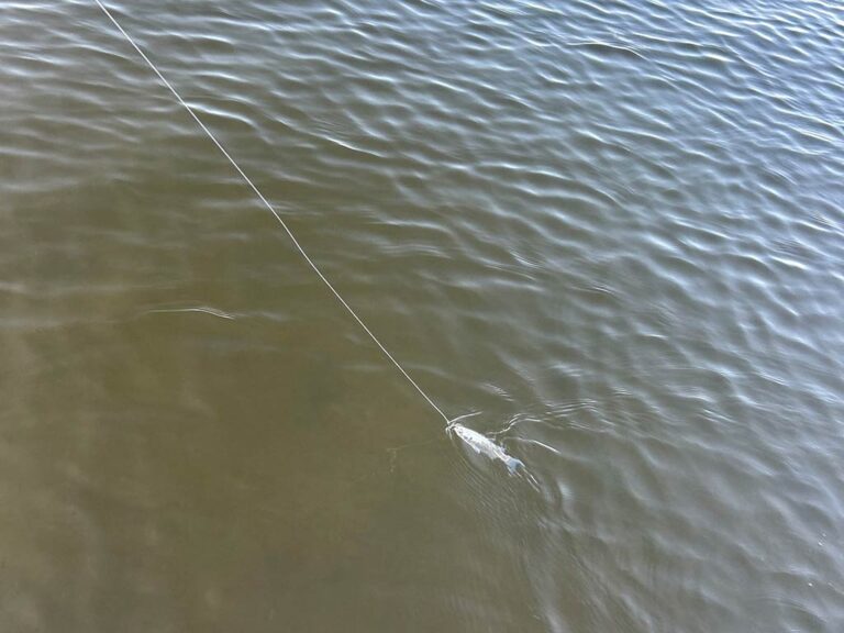 The Best Rigs for Saltwater Fishing: An Angler’s Guide for 2025