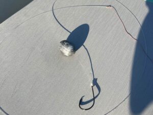 The Best Rigs for Saltwater Fishing: An Angler’s Guide for 2025