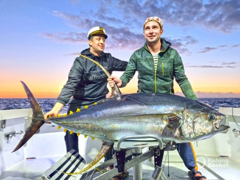 Tuna Fishing Season: The Complete Guide for 2026