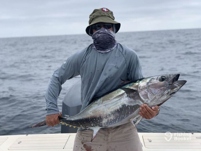Tuna Fishing Season: The Complete Guide for 2026