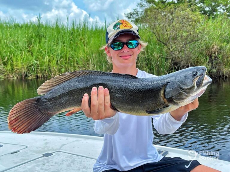 How to Go Bowfin Fishing: The Complete Guide for 2025
