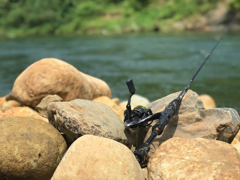 How to Go White Perch Fishing: The Complete Guide for 2026