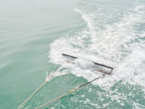 How to Go Scallop Fishing: The Complete Guide for 2024