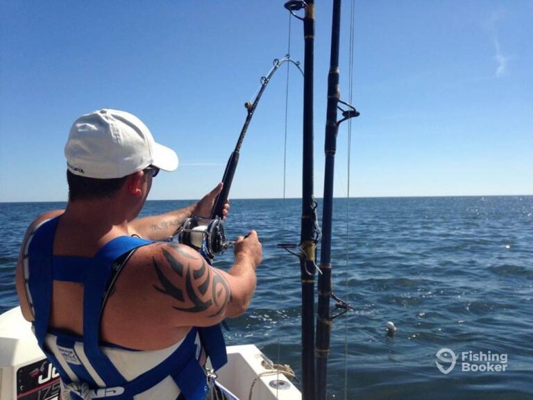 How to Go Deep Sea Fishing in Maine: The Complete Guide for 2026