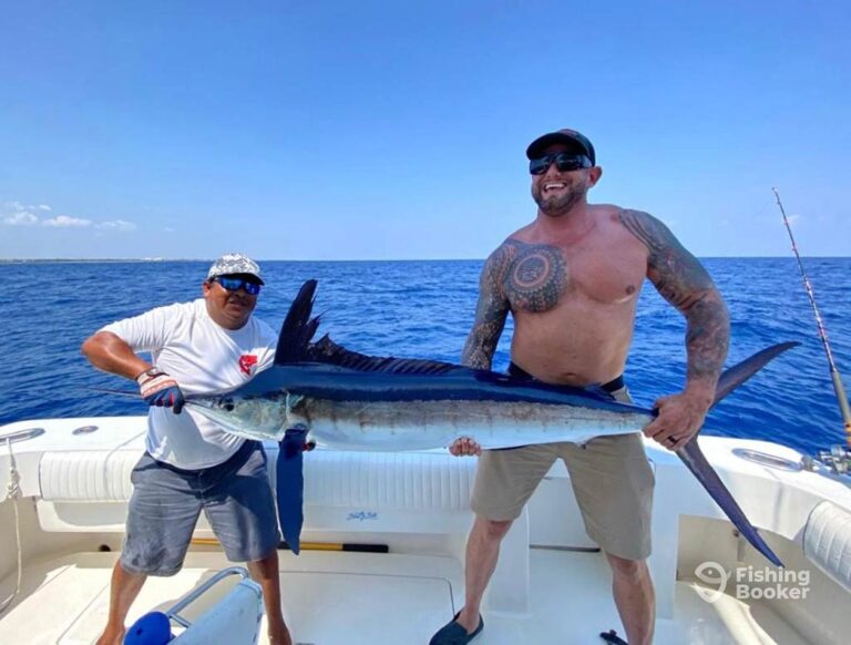Pelagic Fish: The Complete Guide for 2026