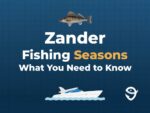 How To Go Zander Fishing: The Complete Guide for 2026