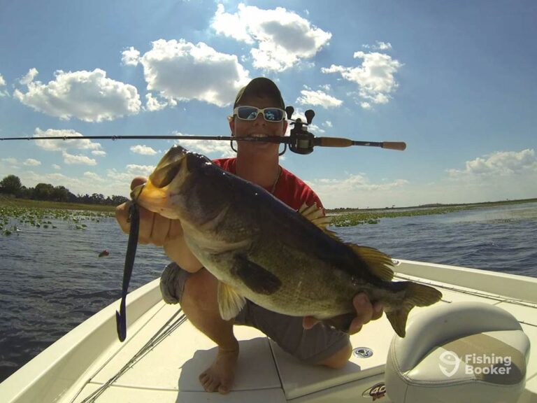 Best Freshwater Fishing Rods: An Angler’s Guide for 2026