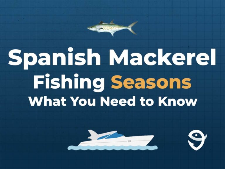 How to Go Fishing for Spanish Mackerel: The Complete Guide for 2026