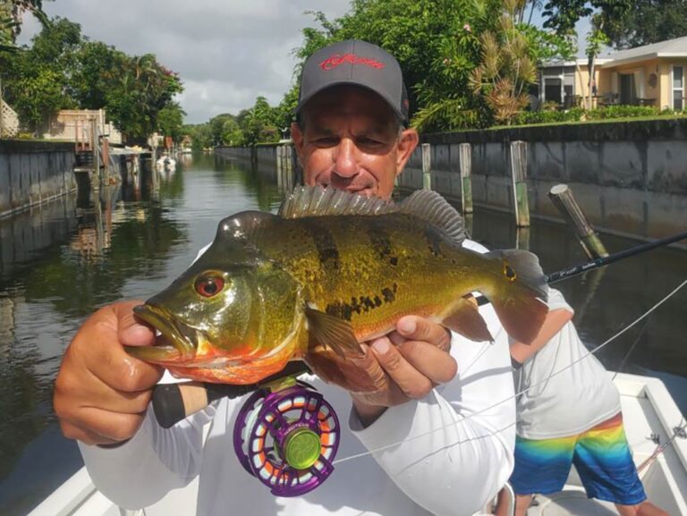 Fishing in LAKE IDA: The Complete Guide [VIDEO]