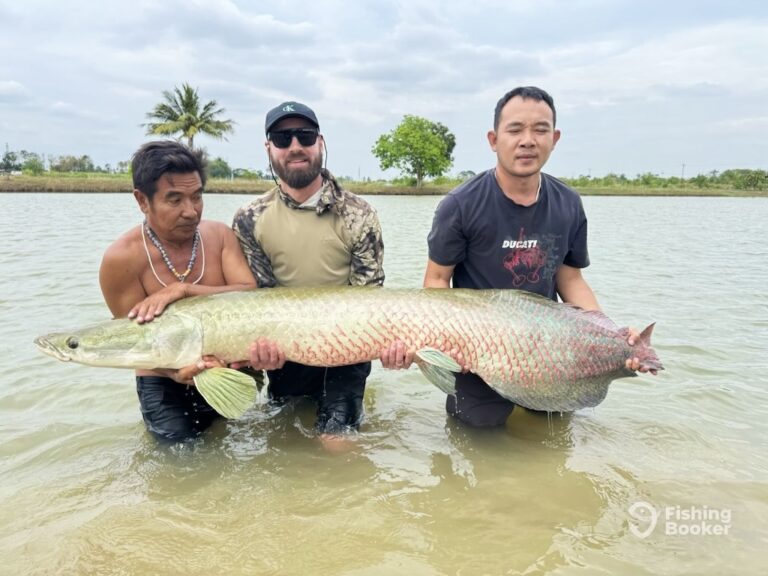 How to Go Fishing for Arapaima: The Complete Guide