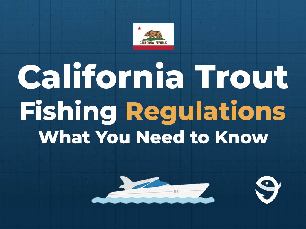How to Go California Trout Fishing: An Angler’s Guide for 2025