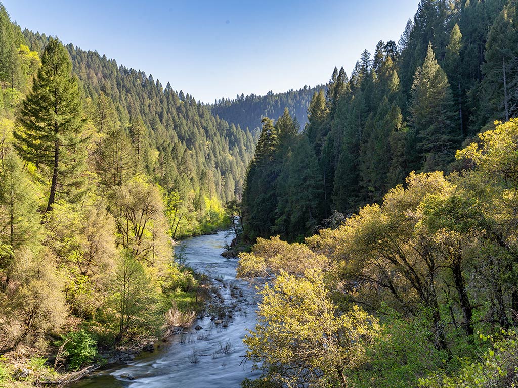 How to Go California Trout Fishing: An Angler’s Guide for 2025