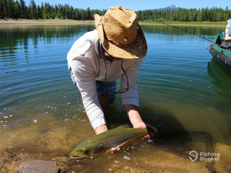 How to Go Trout Fishing in Oregon: An Angler’s Guide for 2026
