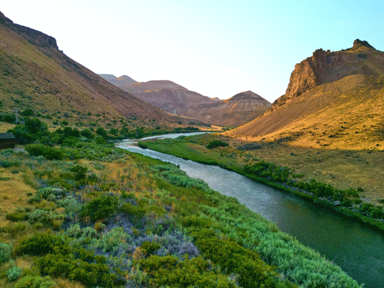 How to Go Trout Fishing in Oregon: An Angler’s Guide for 2026