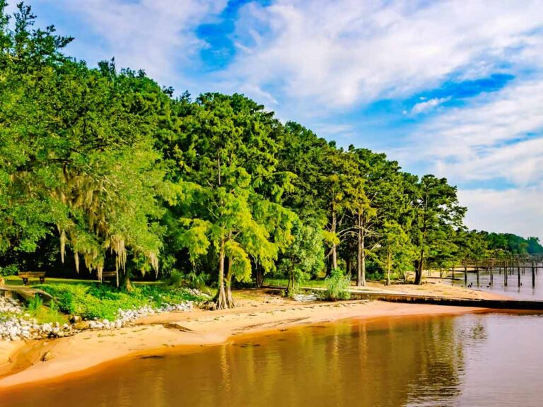 Jubilee Fishing in Mobile Bay: The Complete Guide for 2026