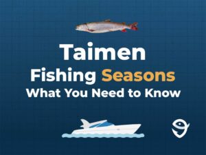 How To Go Taimen Fishing: The Complete Guide