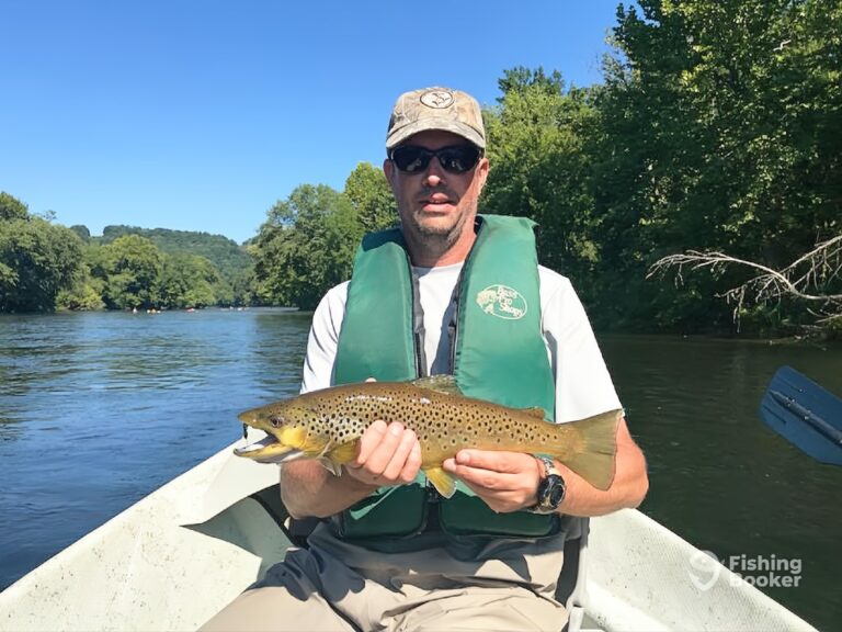Trout Fishing in Tennessee: The Ultimate Guide for 2026