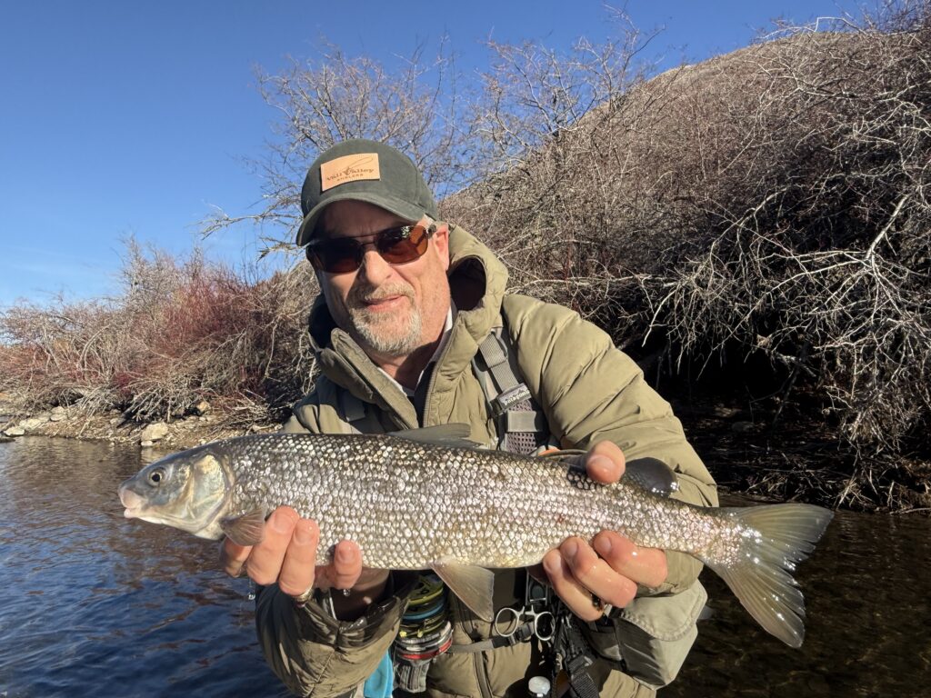Fly Fishing for Trout on the Provo River: Three Sections You Need to ...