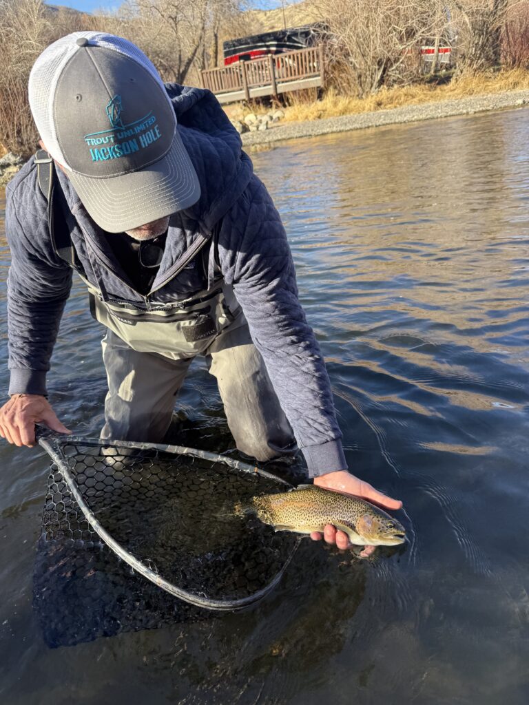 Fly Fishing for Trout on the Provo River: Three Sections You Need to ...