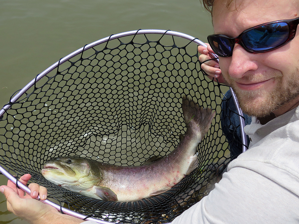 Fishing for Iwana (White-Spotted Char) in the Japanese Mountains with a ...
