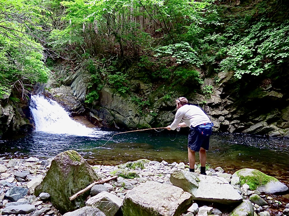 Fishing for Iwana (White-Spotted Char) in the Japanese Mountains with a ...