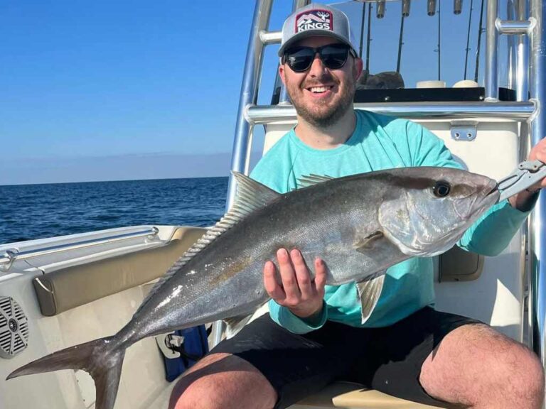 Federal Gulf Amberjack Season Expands to 43 Days in 2026